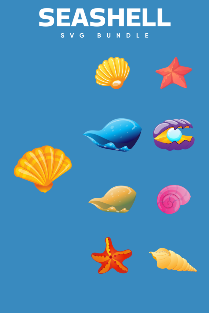 9 Seashell SVG Designs – MasterBundles