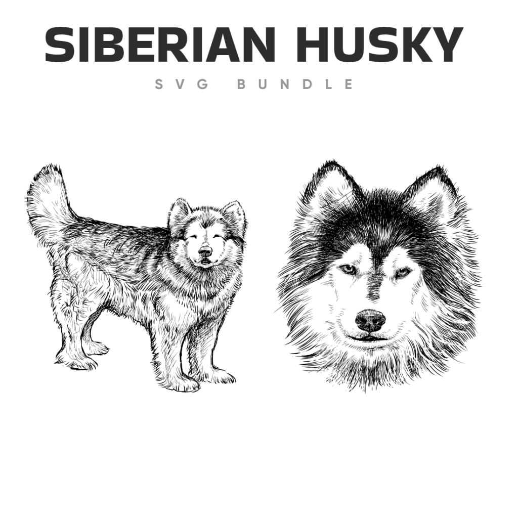 Siberian Husky SVG Designs – MasterBundles