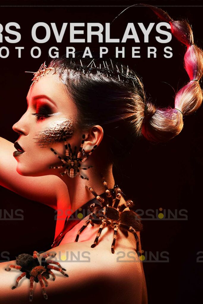 Photoshop overlay, spider overlay, spider clipart - MasterBundles