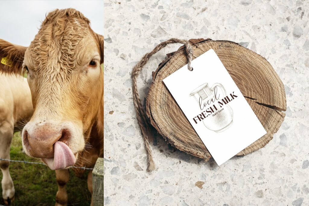 Farm Fresh Dairy Products Collection – MasterBundles