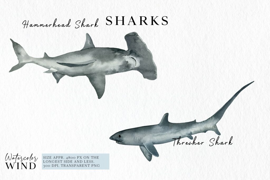 Underwater Bundle – MasterBundles