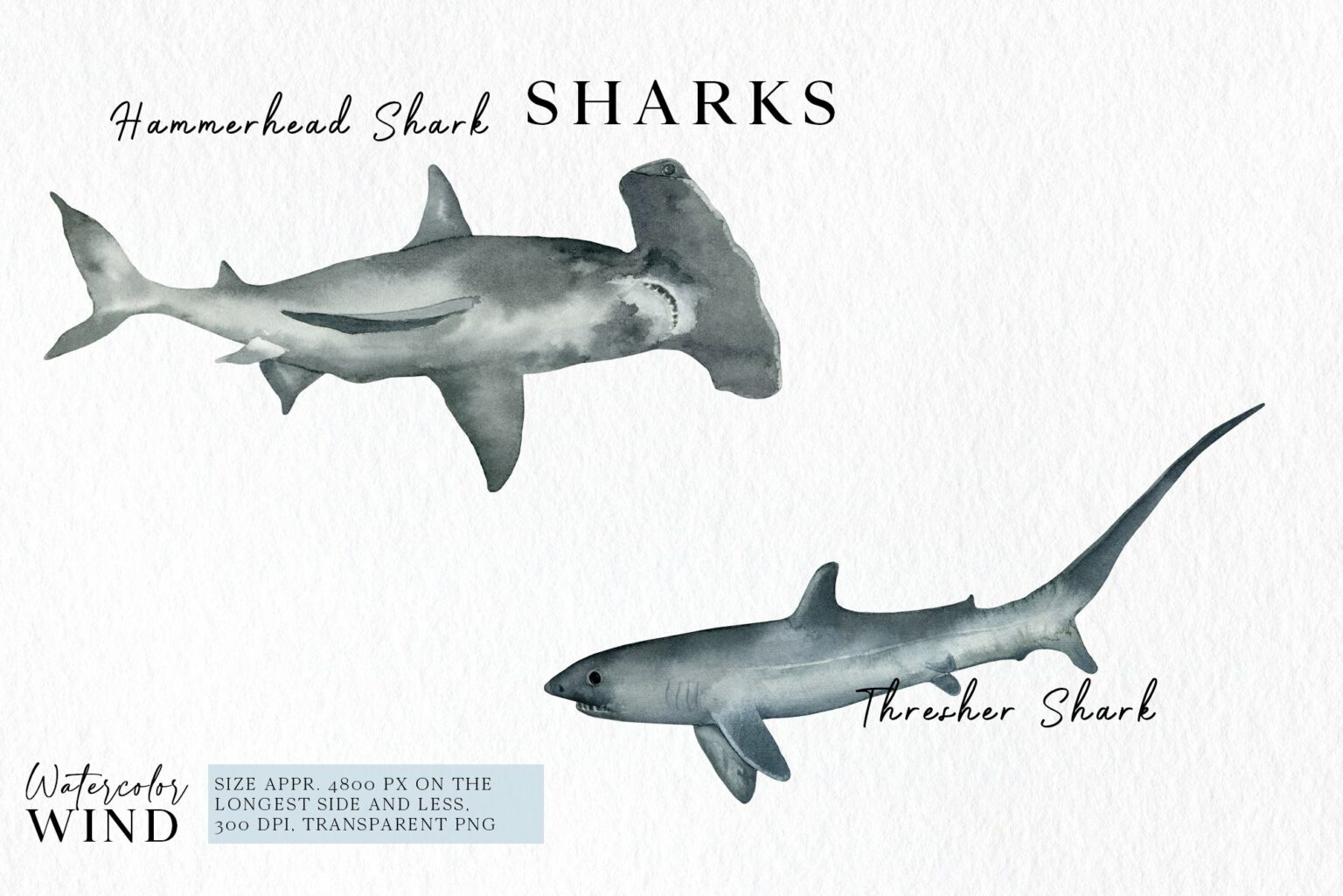 Underwater Bundle – MasterBundles