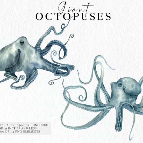 Underwater Bundle | Master Bundles