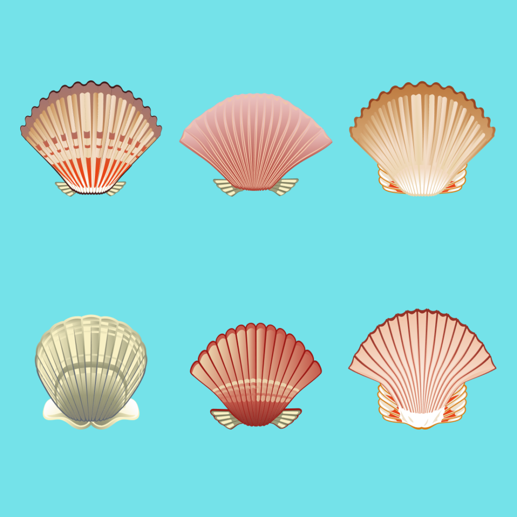 Seashell SVG Bundle – MasterBundles