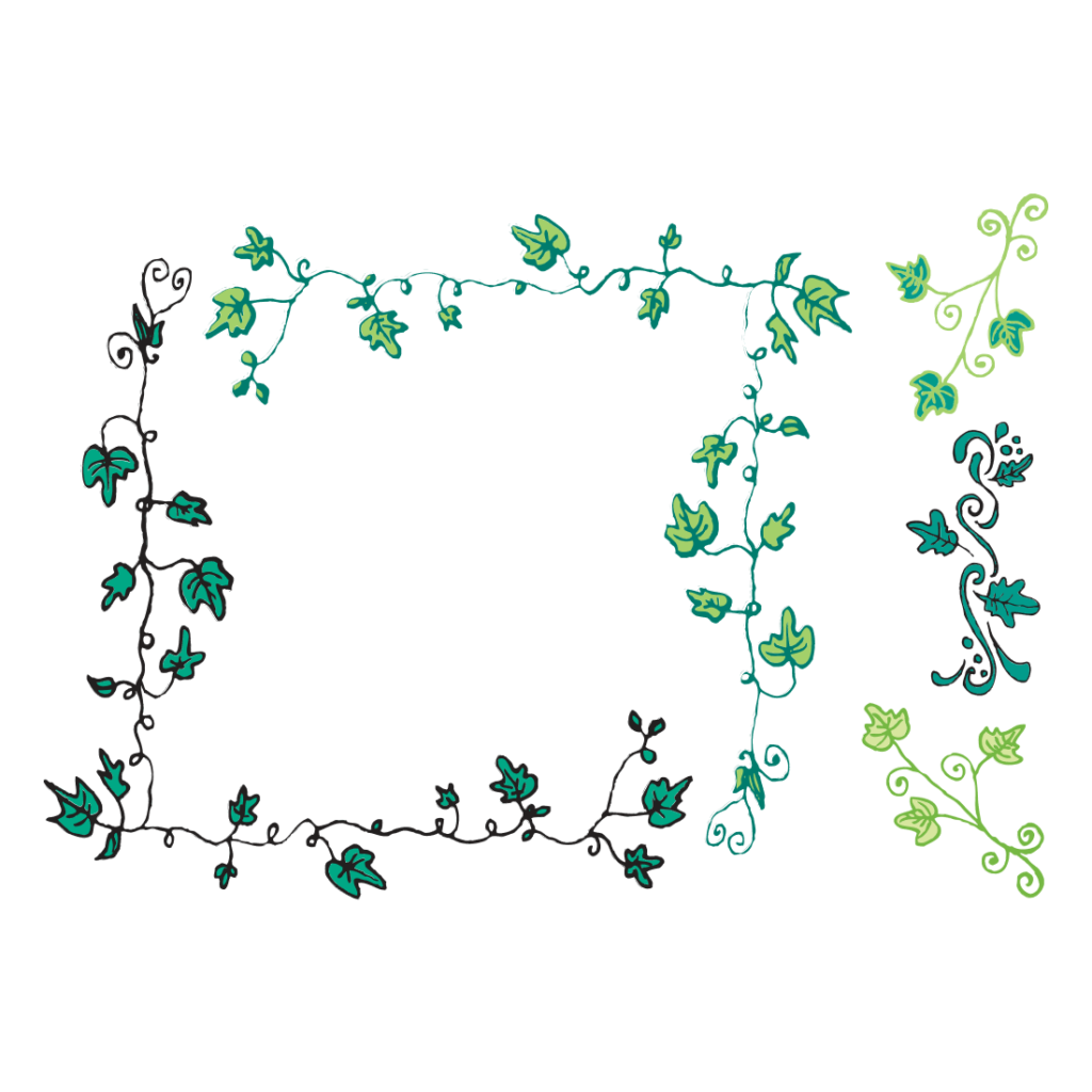 Vine Border SVG Designs – MasterBundles