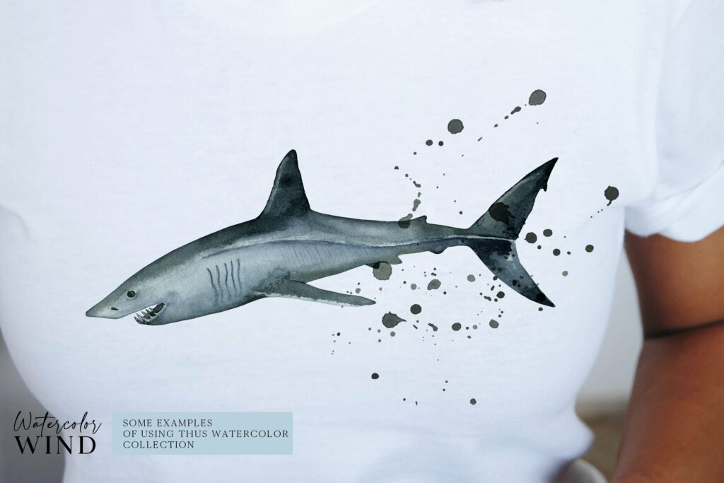 Watercolor Shark PNG Clipart – MasterBundles