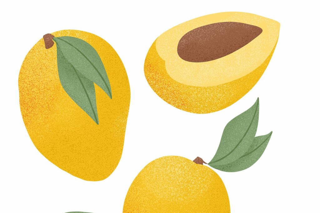 Mango Hand Drawn Illustrations – MasterBundles