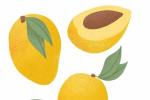 Mango Hand Drawn Illustrations | Master Bundles