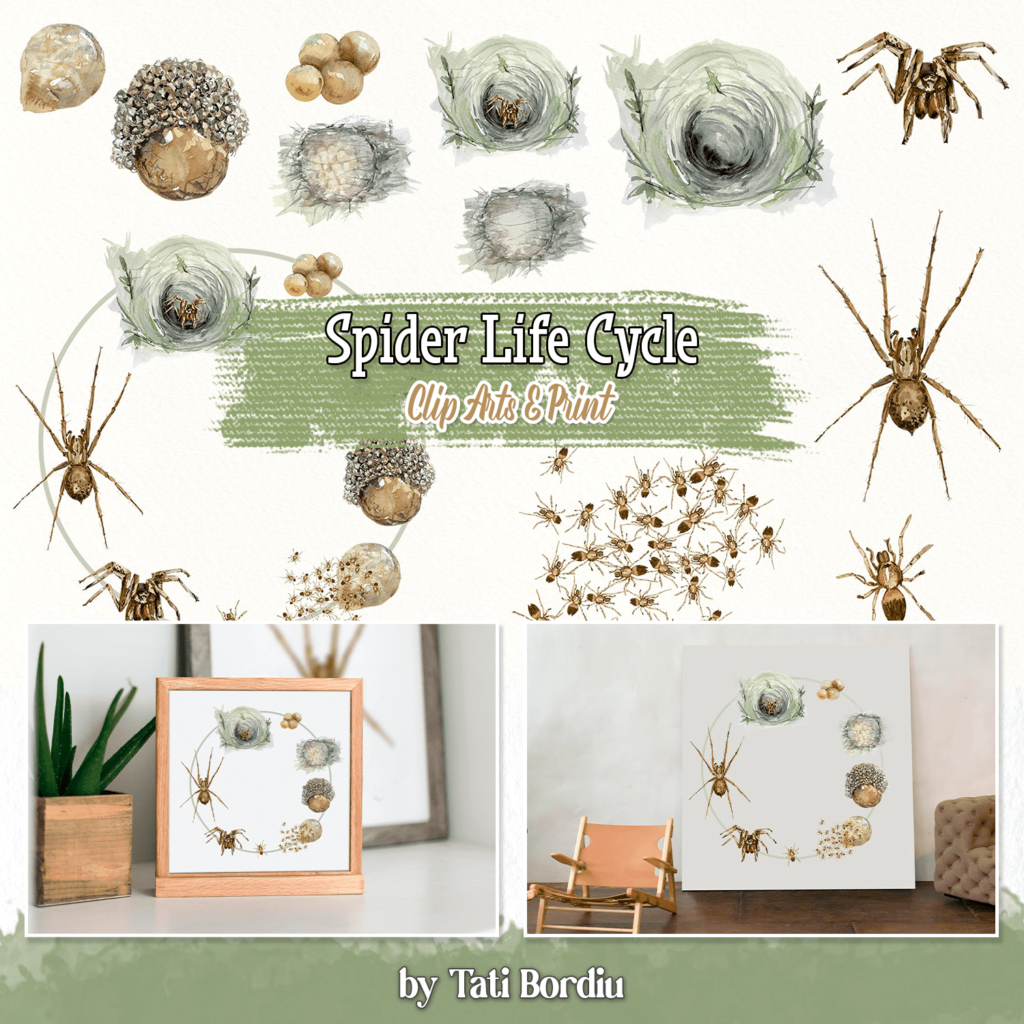 Watercolor Spider Clipart Print PNG – MasterBundles