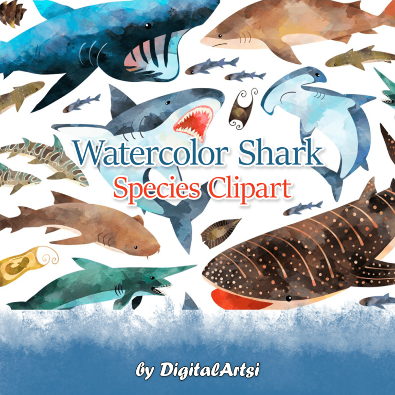 Watercolor Shark Species Clipart – MasterBundles