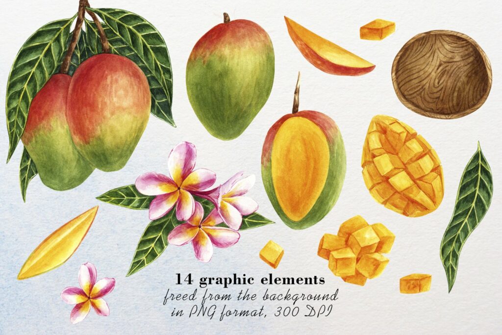 Mango Watercolor Clipart – MasterBundles