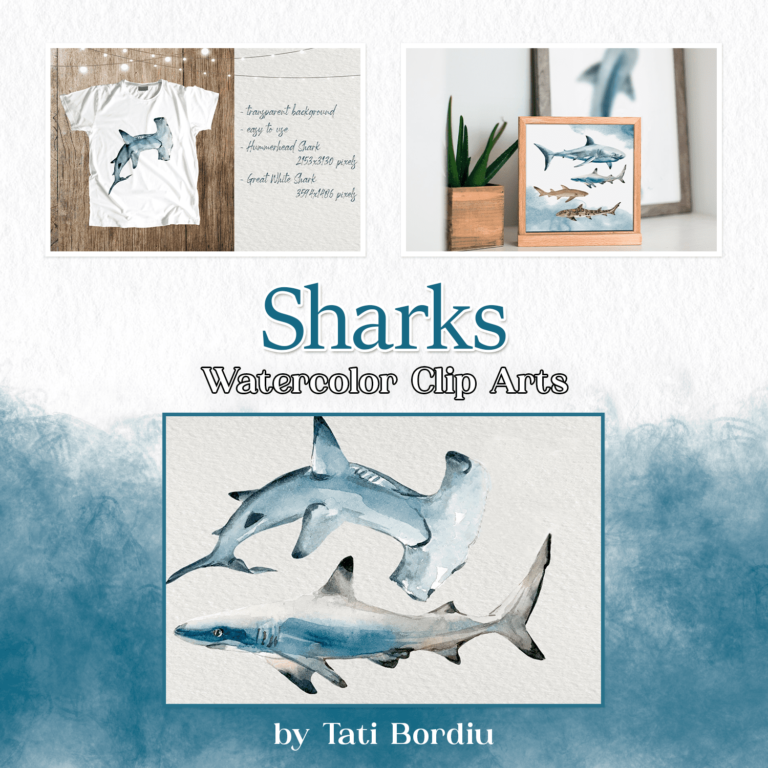 Watercolor Shark PNG Clipart – MasterBundles