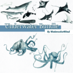 Underwater Bundle – MasterBundles