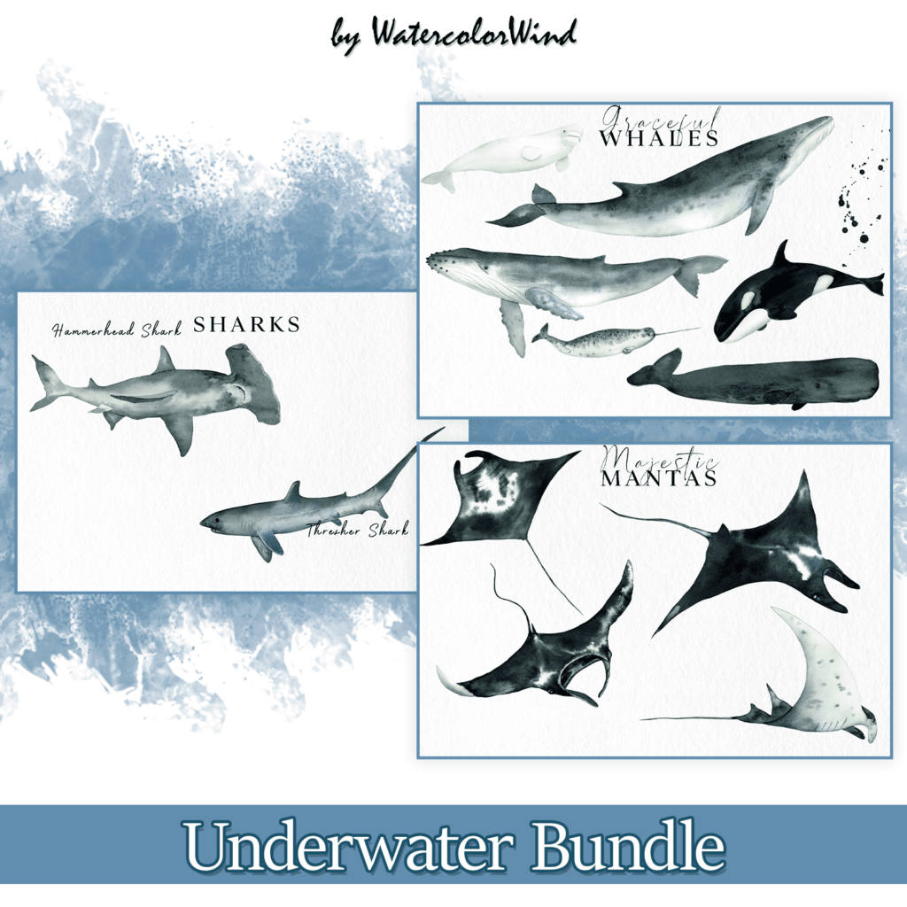 Underwater Bundle – MasterBundles