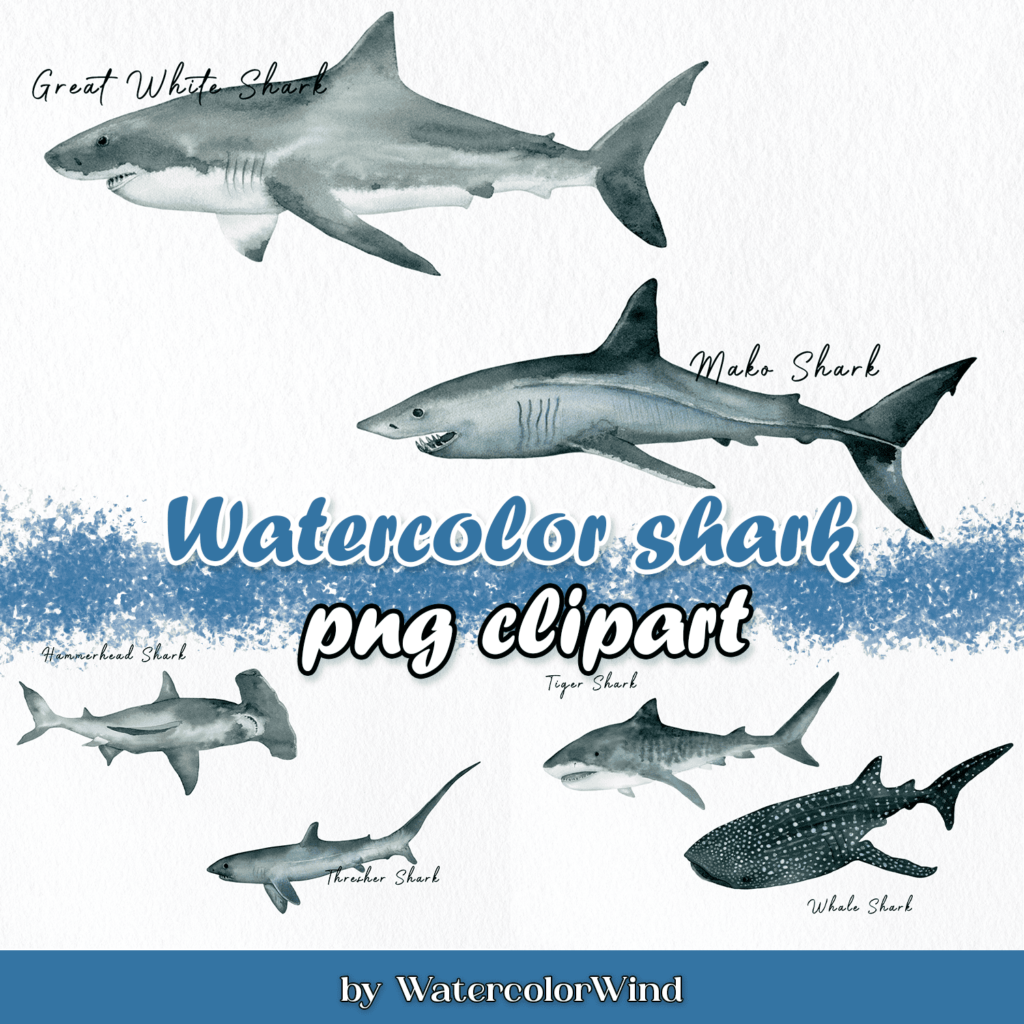 Watercolor Shark PNG Clipart – MasterBundles