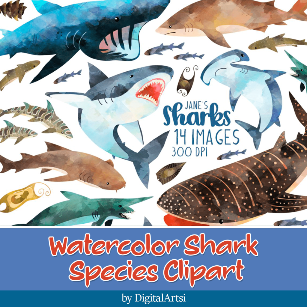 Watercolor Shark Species Clipart – MasterBundles