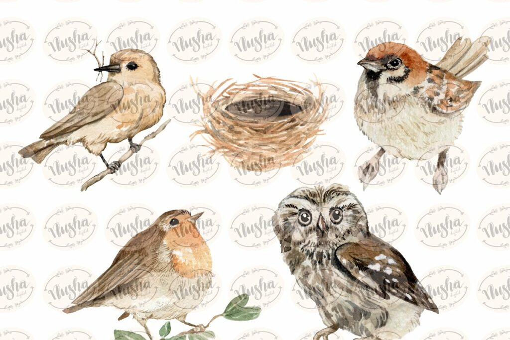 Pretty Birds And Spring Flowers – MasterBundles