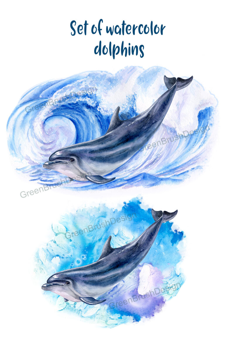Watercolor dolphin, set digital clip art - MasterBundles
