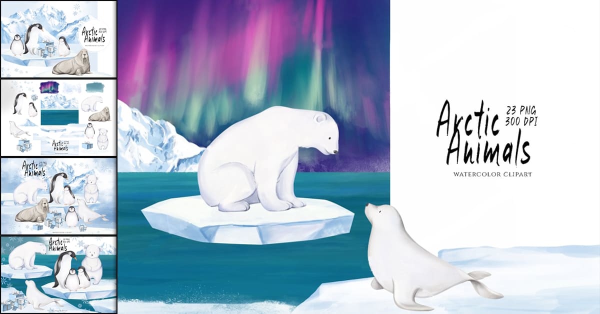 Arctic Animals Watercolor Clipart – MasterBundles