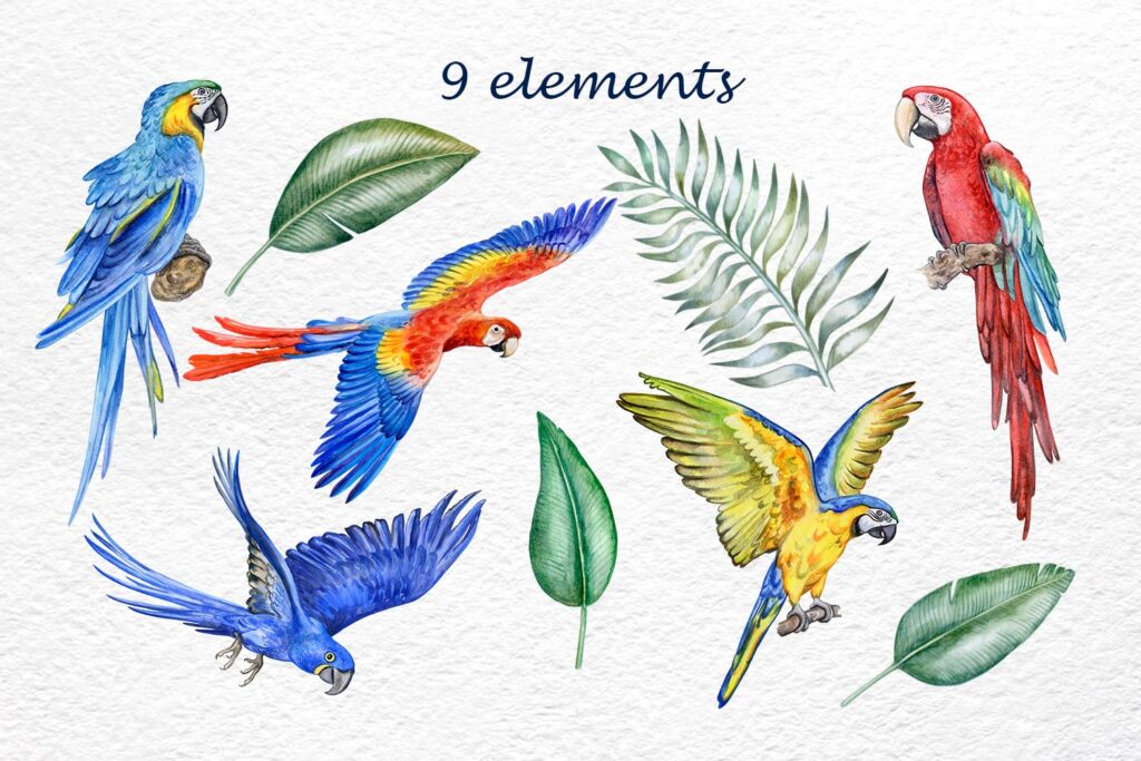 Watercolor parrot clipart - MasterBundles