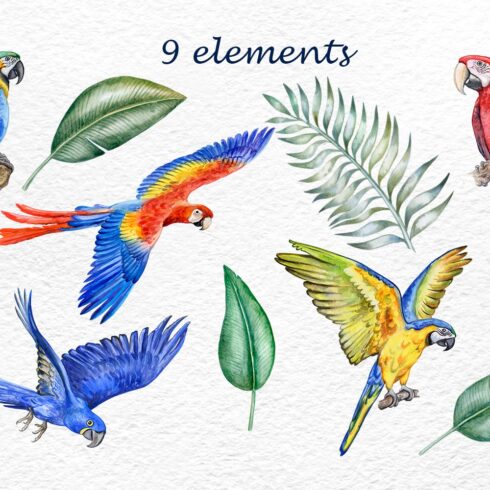 Watercolor parrot clipart | MasterBundles