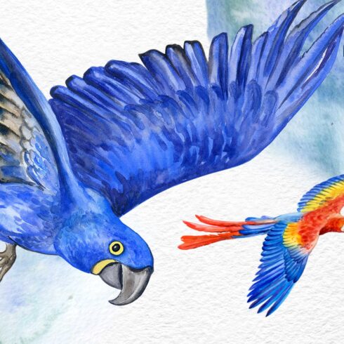Watercolor parrot clipart | MasterBundles