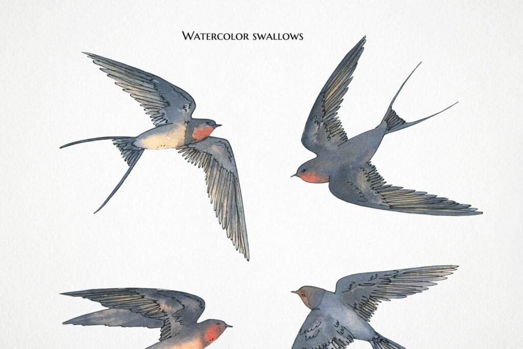 Flying Bird Watercolor Clipart, Swallow Artwork Clip Art – MasterBundles