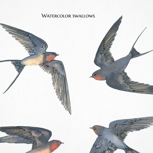 Flying Bird Watercolor Clipart, Swallow Artwork Clip Art | Master Bundles