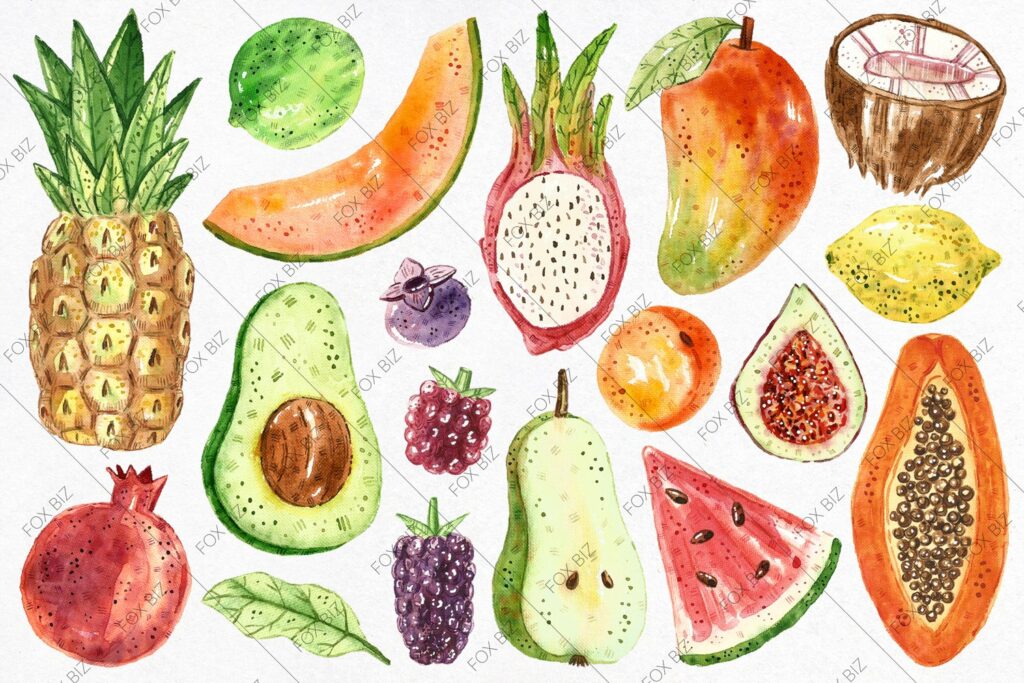 Tropical Fruits Watercolor Clipart – MasterBundles