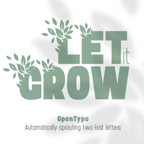 Bushman font set - MasterBundles