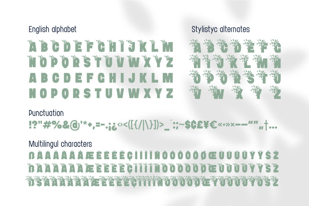 Bushman font set - MasterBundles