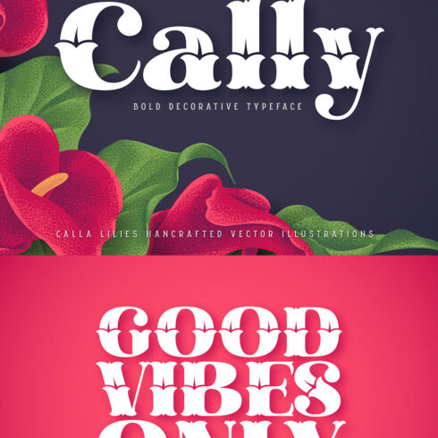 Cally Font & Graphics | MasterBundles