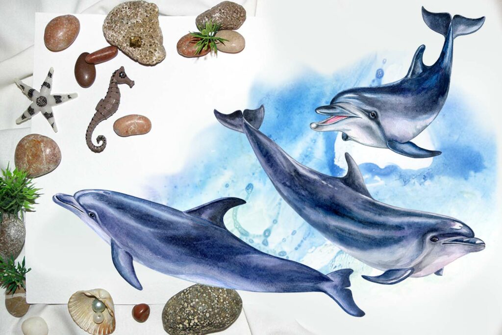 Watercolor dolphin, set digital clip art - MasterBundles