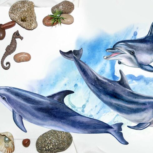 Watercolor dolphin, set digital clip art | MasterBundles