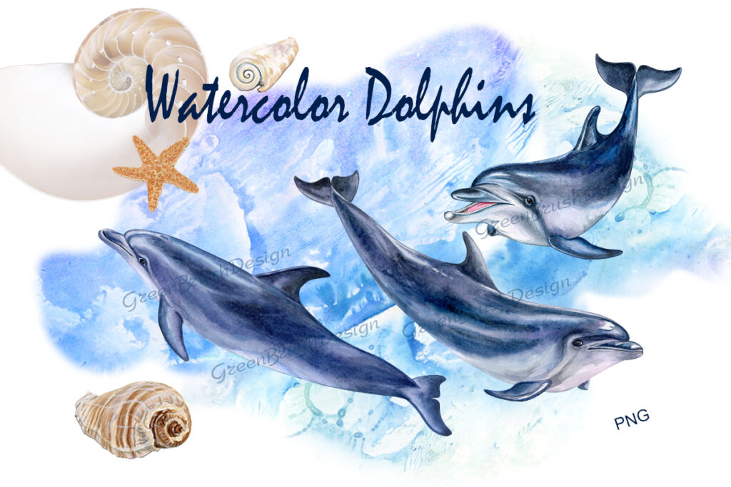 Watercolor dolphin, set digital clip art - MasterBundles