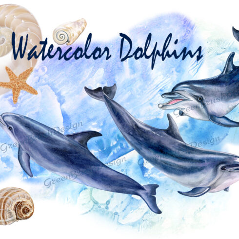 Watercolor dolphin, set digital clip art | MasterBundles