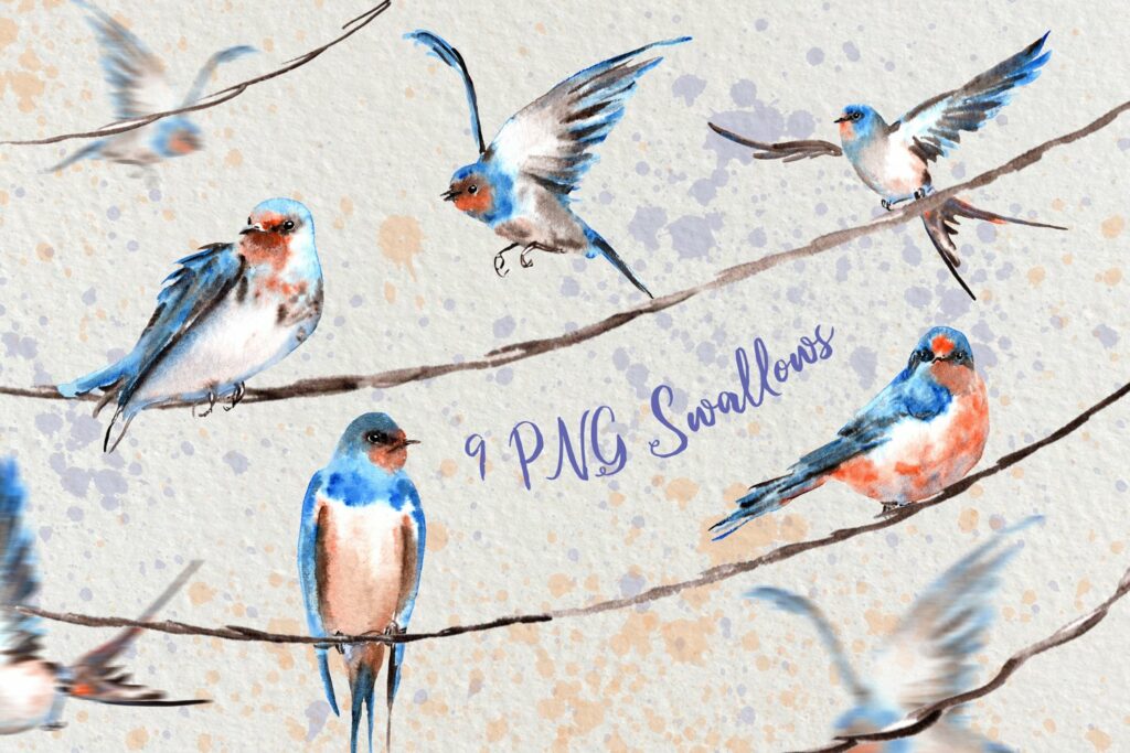 Watercolor Swallow Birds Clip Art Collection – MasterBundles