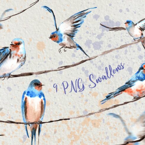 Watercolor Swallow Birds Clip Art Collection | Master Bundles