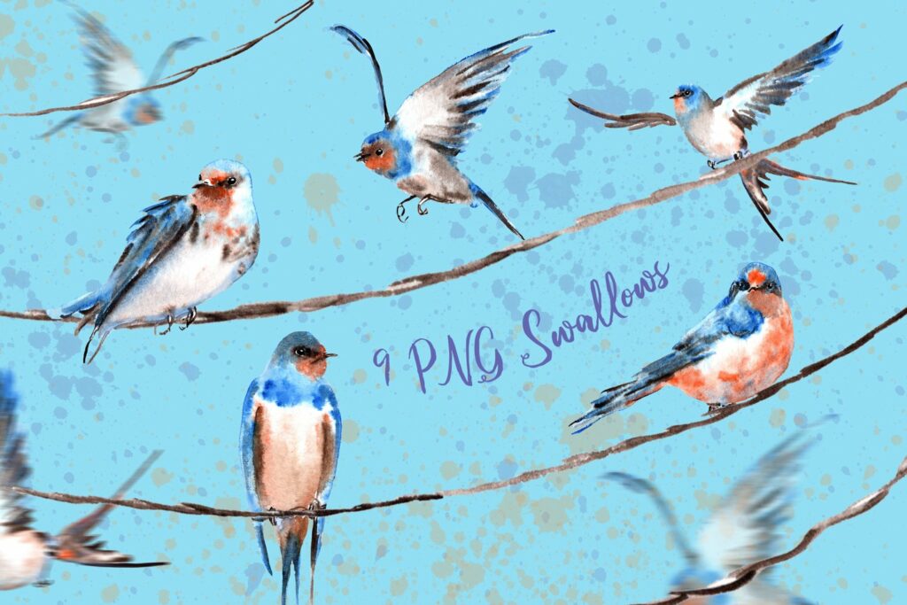 Watercolor Swallow Birds Clip Art Collection – MasterBundles
