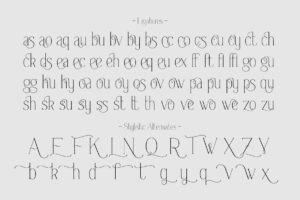 Everleigh Serif font - MasterBundles