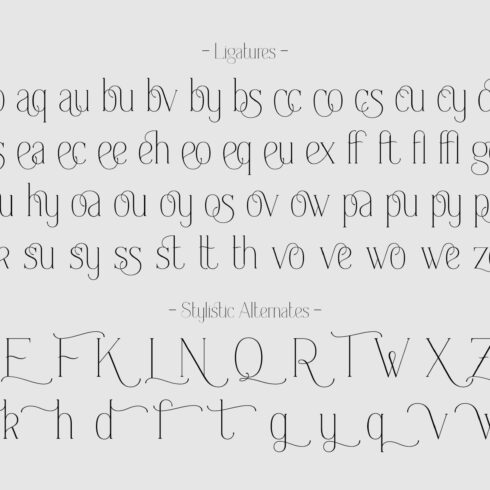 Everleigh Serif font | MasterBundles