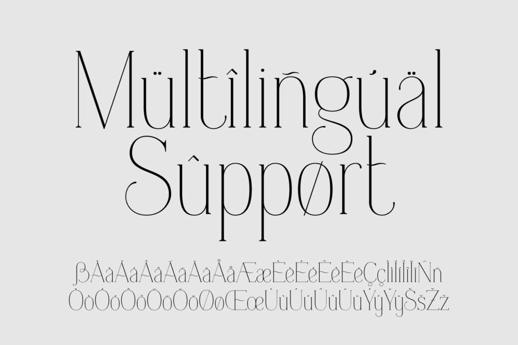 Everleigh Serif font - MasterBundles