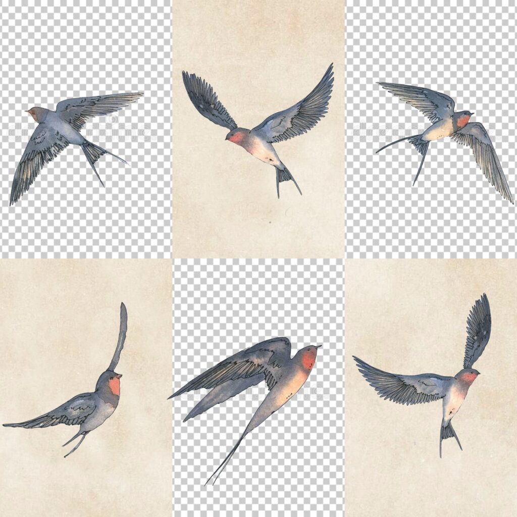 Flying Bird Watercolor Clipart, Swallow Artwork Clip Art – MasterBundles