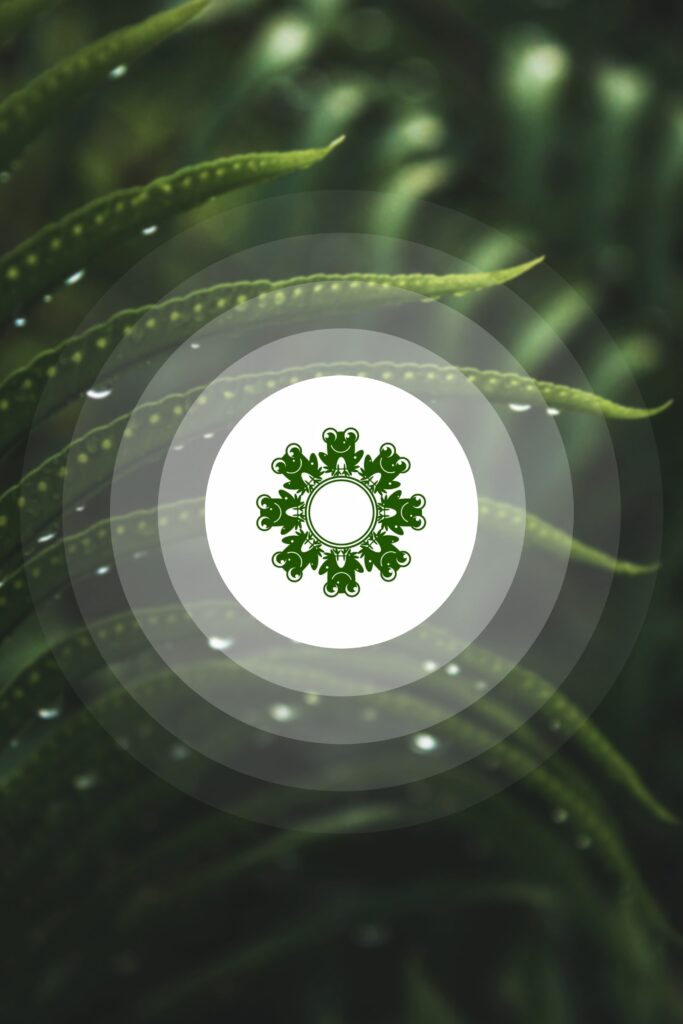 Frog Frame SVG / EPS / DXF / PNG files – MasterBundles