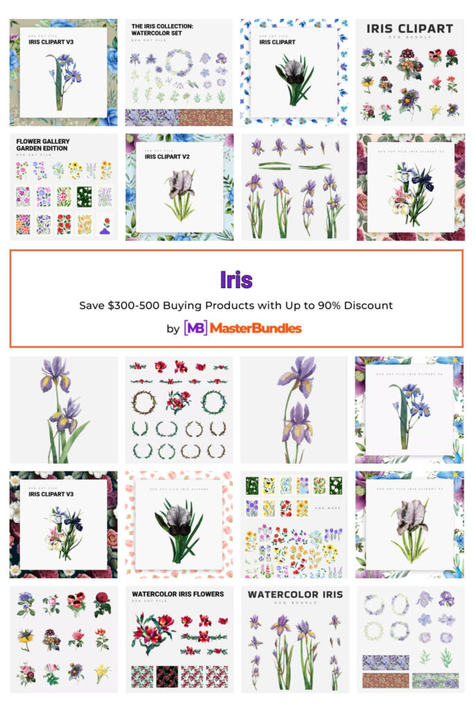 8+ Iris SVG Design Bundles for 2025 - MasterBundles