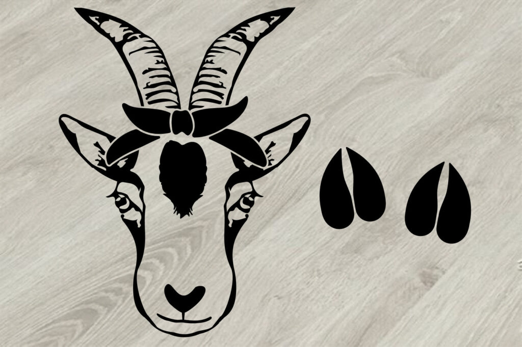 Goat Head whit Bandana Silhouette SVG goats feet Farm Milk 794S ...
