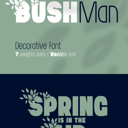 Bushman font set | MasterBundles