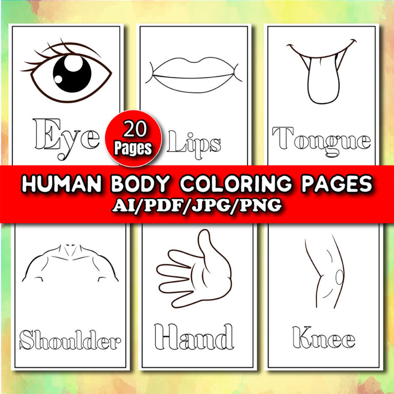 Human Body Coloring Pages for Kids - MasterBundles