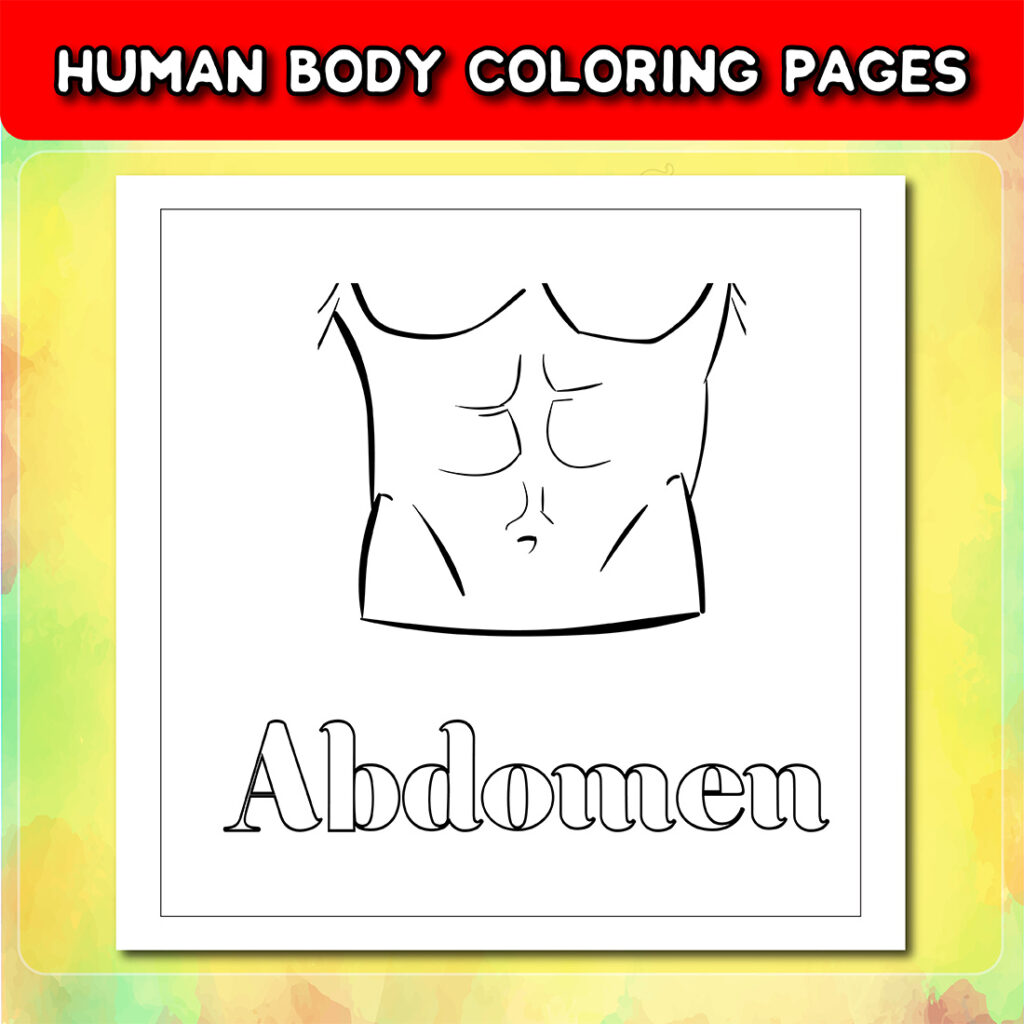 Human Body Coloring Pages for Kids - MasterBundles