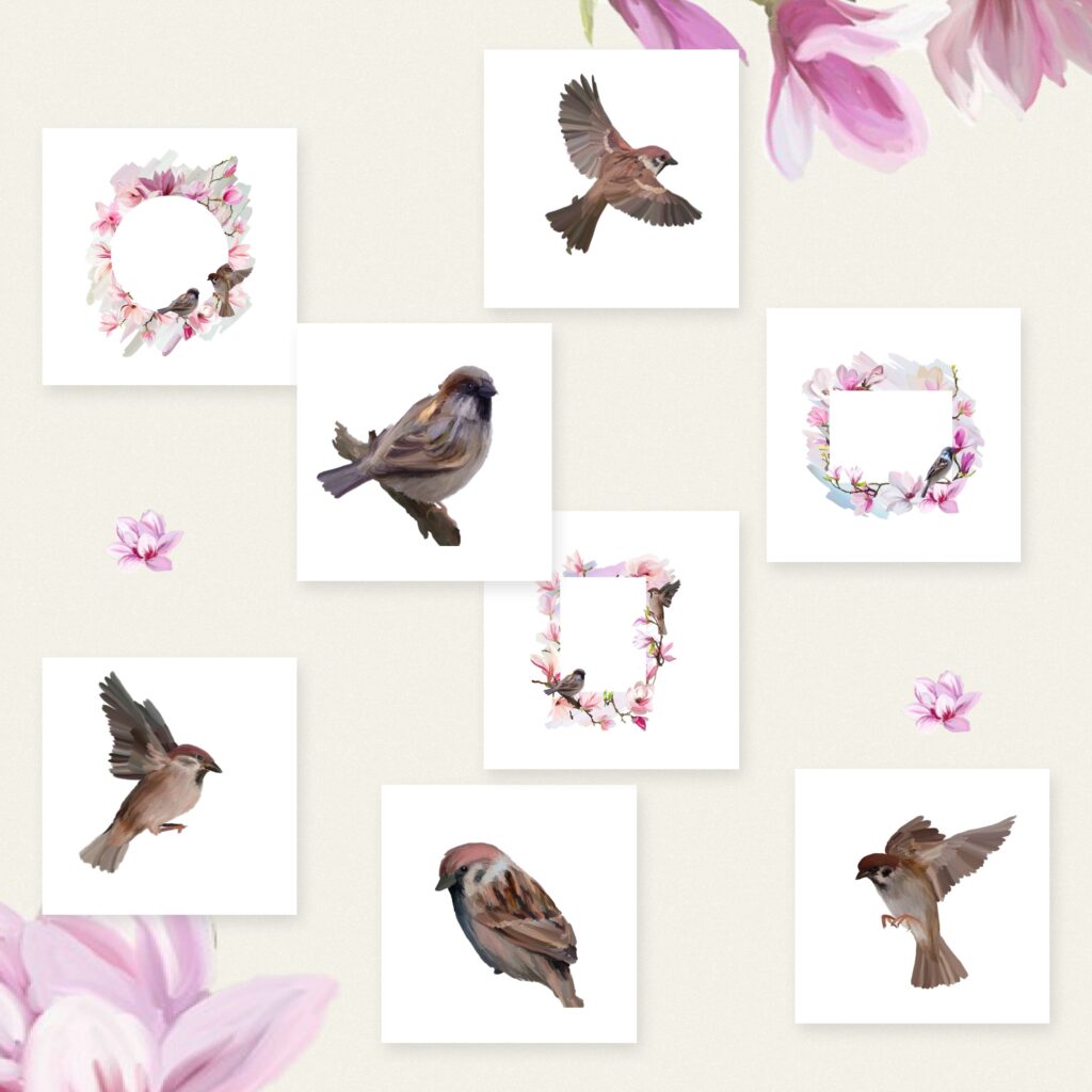 Sparrow And Magnolia, Hand Drawn Floral Frames PNG – MasterBundles